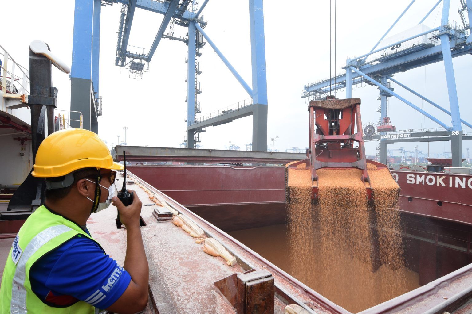 Bulk & Break Bulk Services - MMC Port